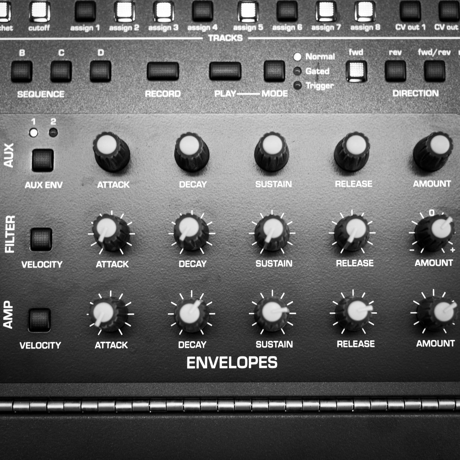 Cicada Sound — synths, modular, pedals; music shop in Ottawa, Canada