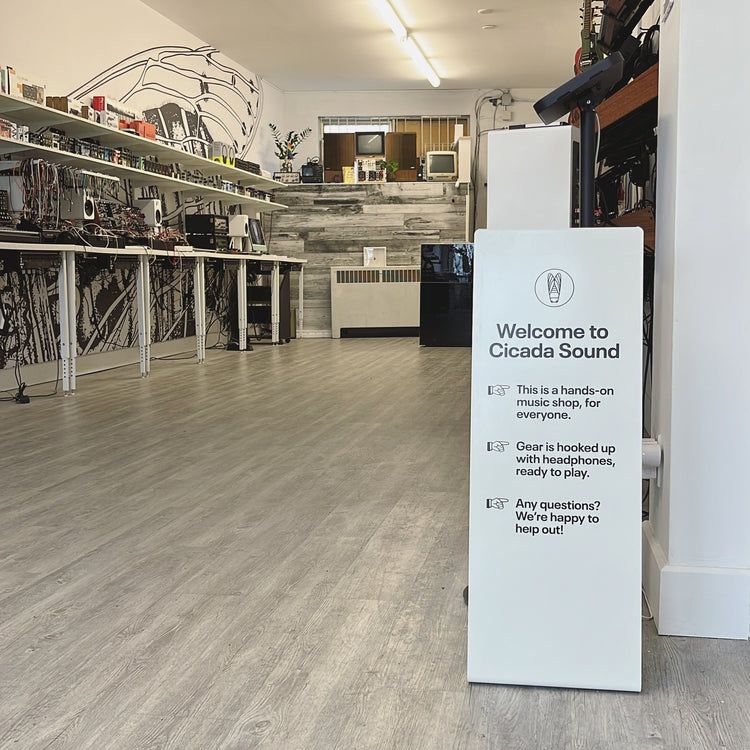 About Us – Cicada Sound